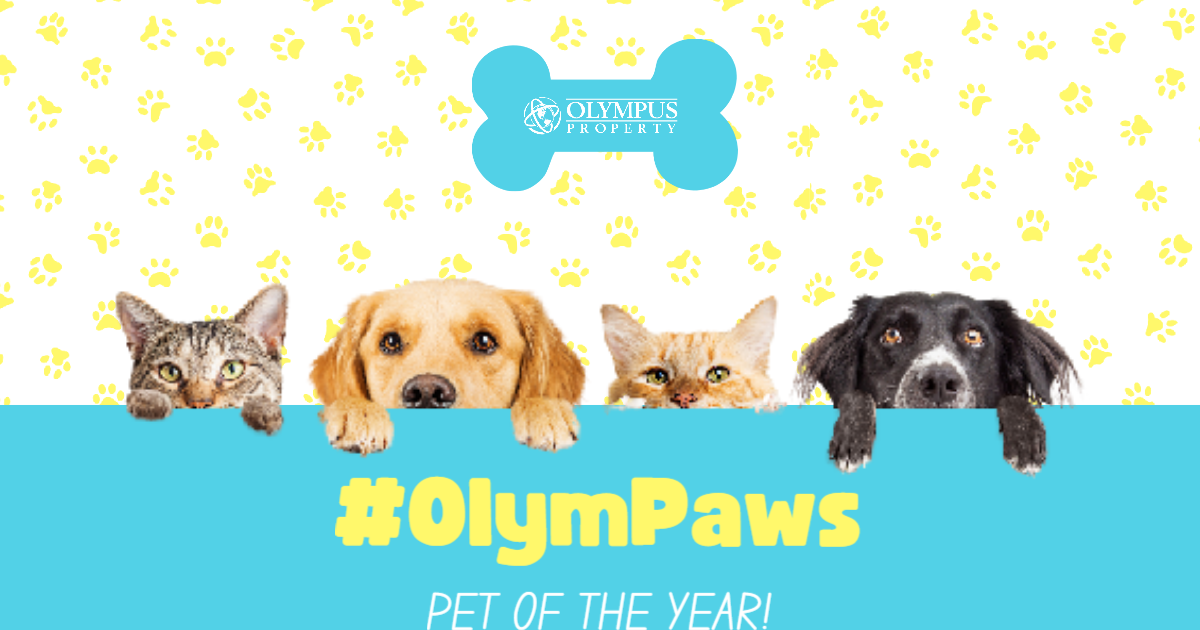 Olympus Pet of The Year!